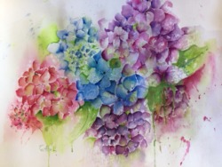 Carol Abel – San Dieguito Art Guild