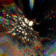 Carol Abel – San Dieguito Art Guild