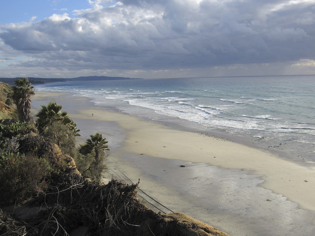 Doreen Long – San Dieguito Art Guild