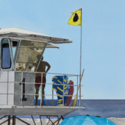 Carol Abel – San Dieguito Art Guild