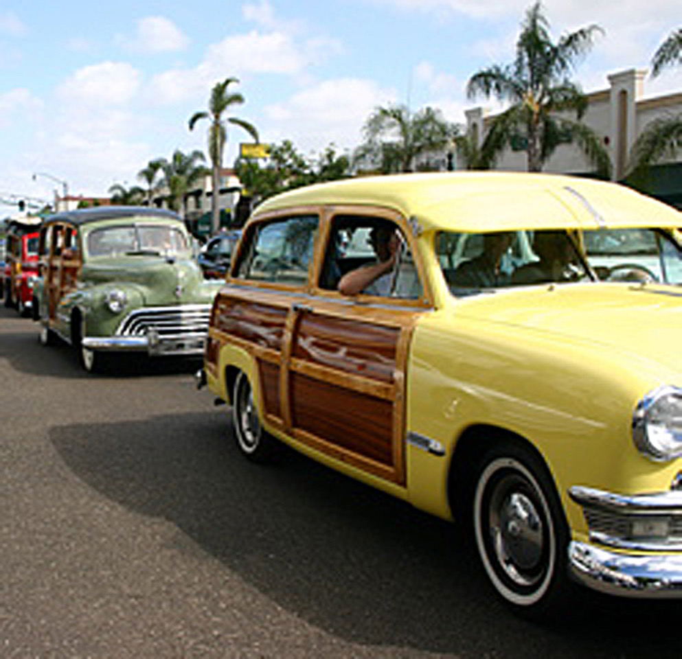 Diane S. Goodman – San Dieguito Art Guild